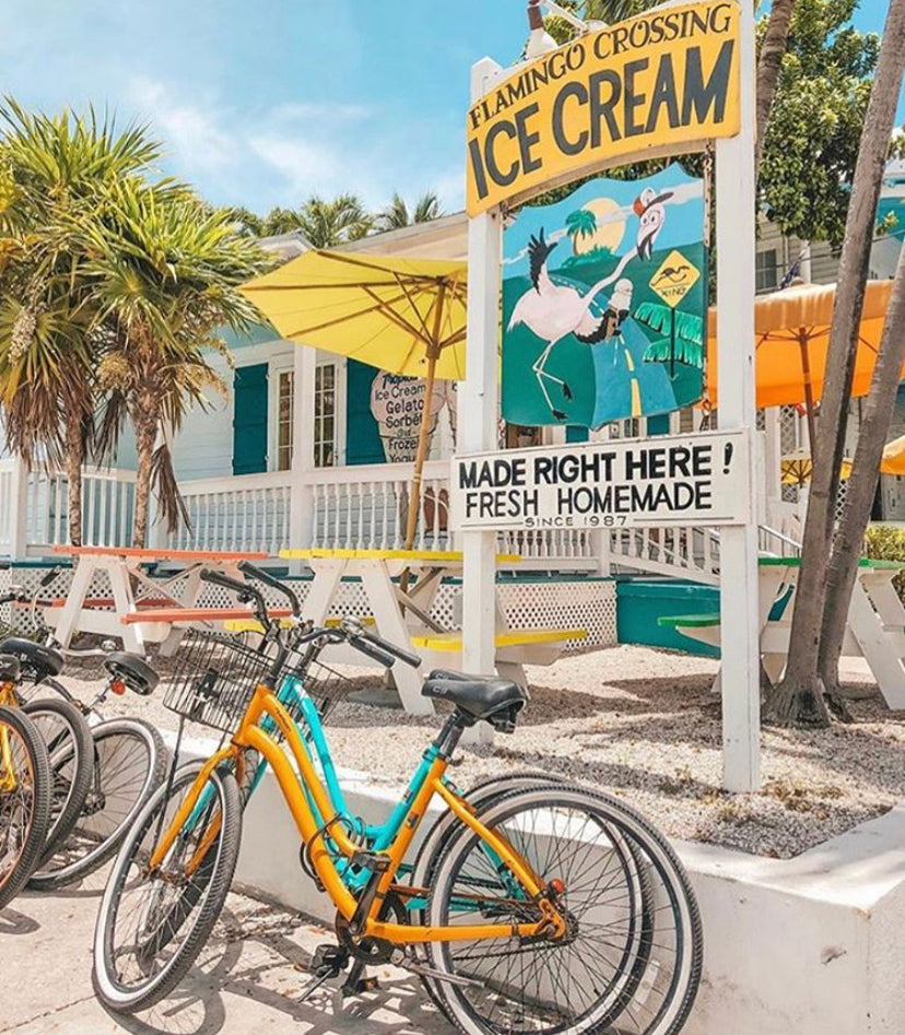 #38 - A Sweet Escape with Flamingo Crossing Ice Cream – Backyards of ...