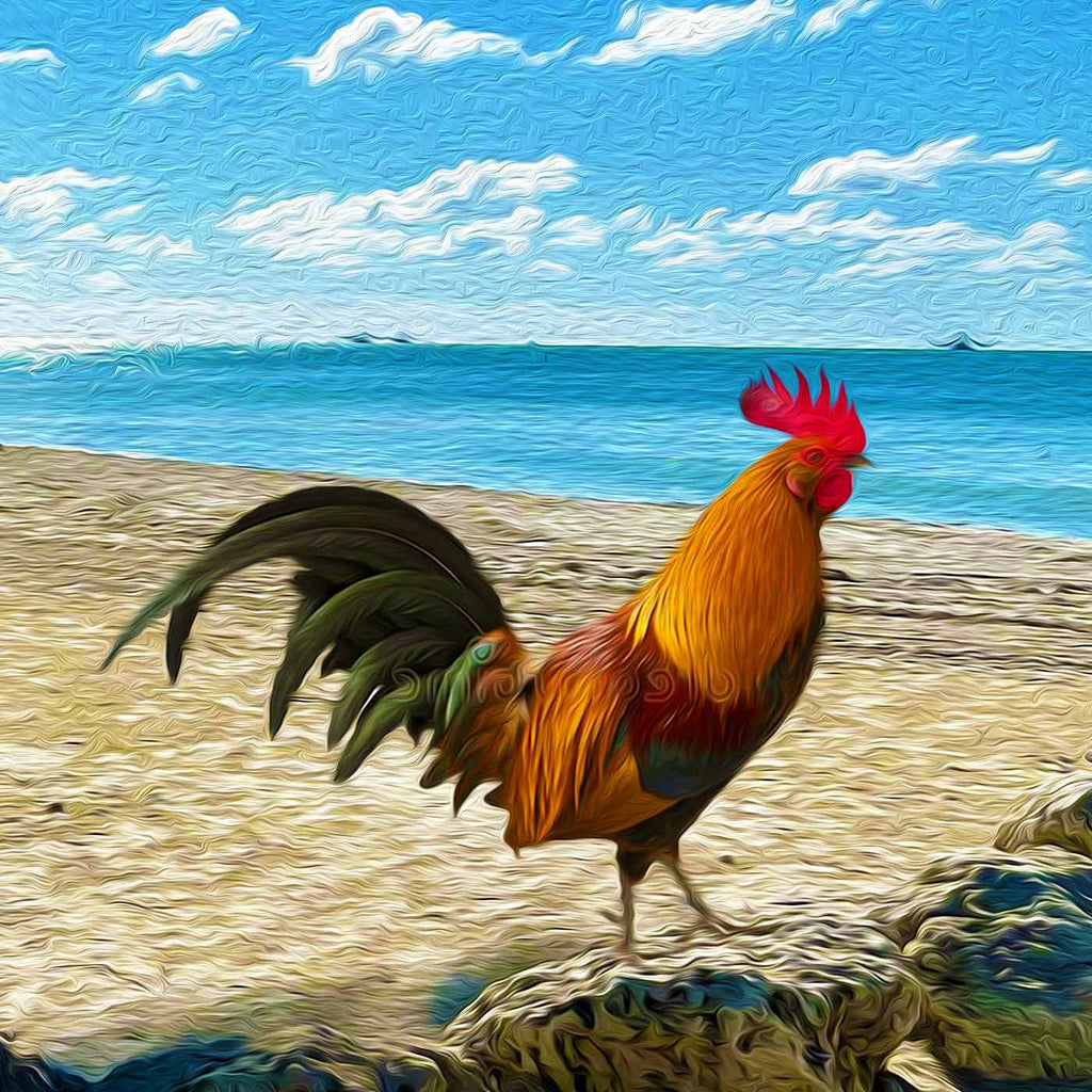 Key West Rooster on the Beach Art – Backyards of Key West Gallery