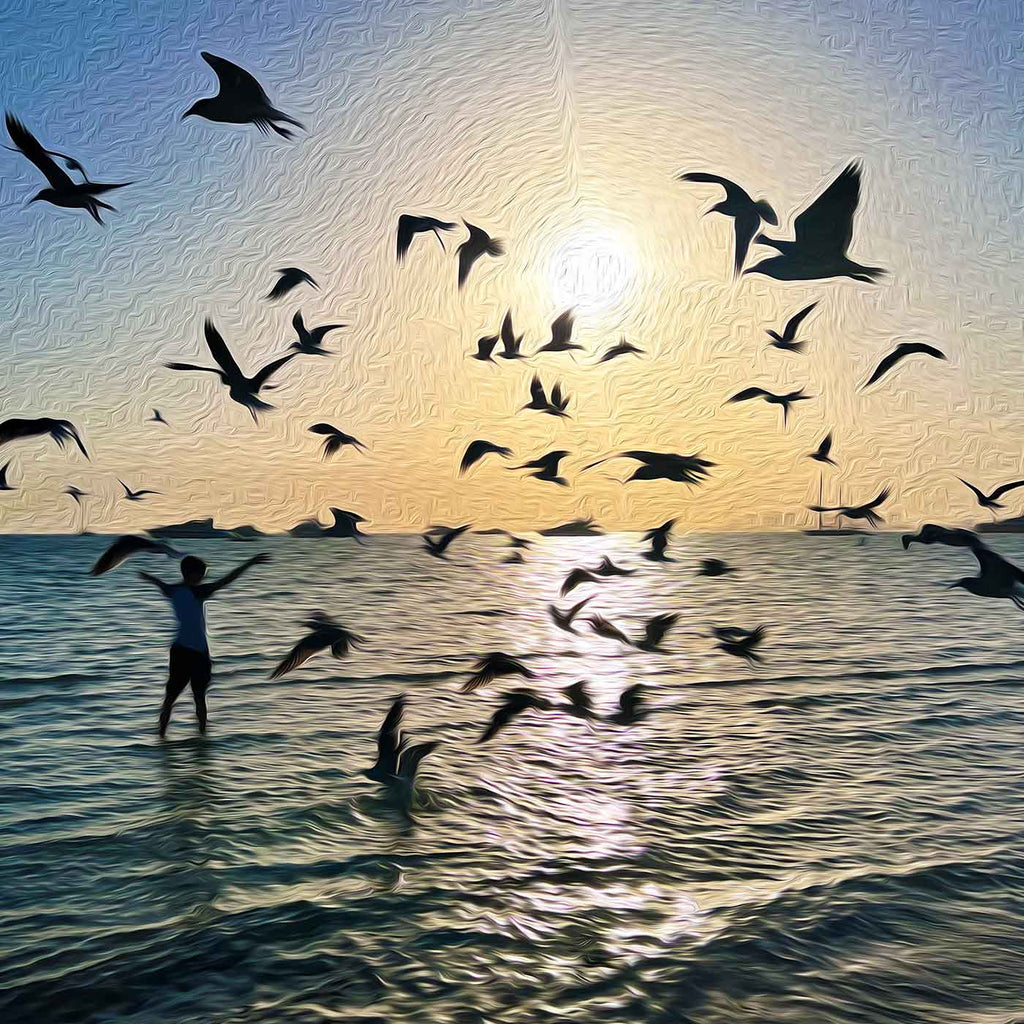 Pure Joy: Key Biscayne Giclee Prints - Key West Art Gallery – Backyards ...