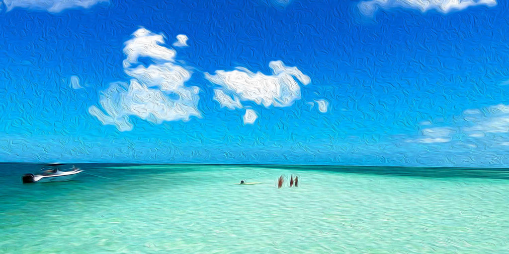 Jewfish Basin Sandbar - A Backyards of Key West Art Gallery – Backyards ...