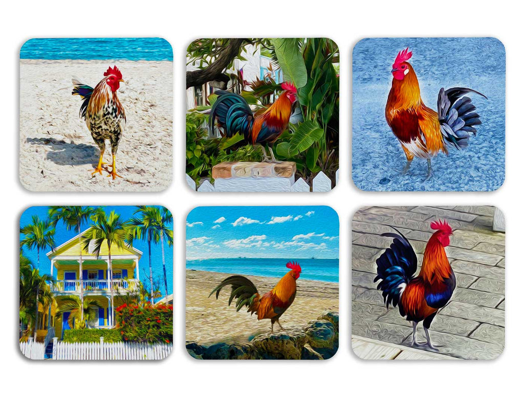 Rooster Coasters (Set of 6) – Backyards of Key West Gallery